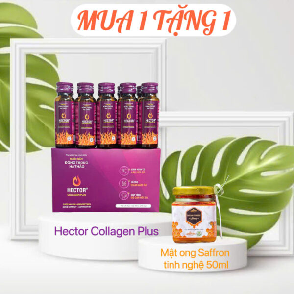 [Mua 1 Tặng 1] Hộp Hector Collagen Plus (10 chai) tặng 1 mật ong ...