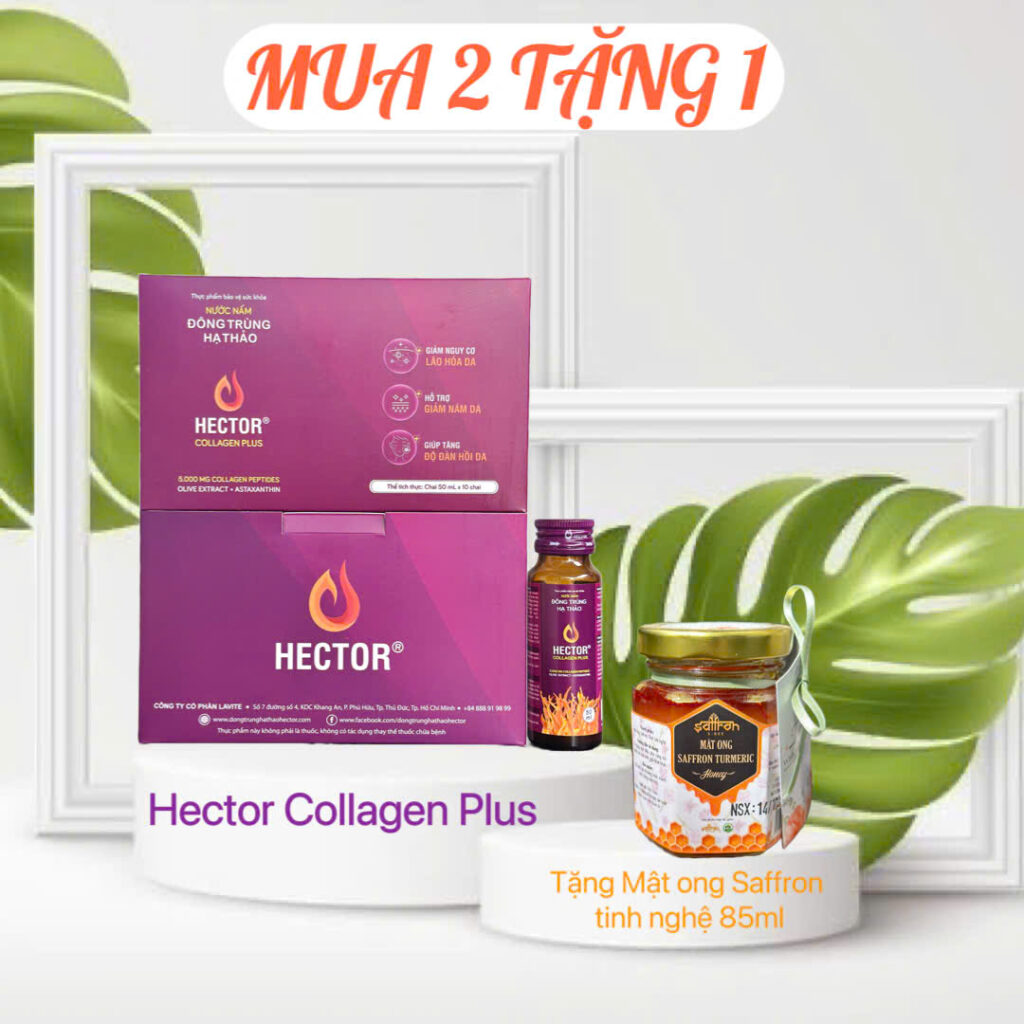 [Mua 2 Tặng 1] Hộp Hector Collagen Plus (10 chai) tặng 1 mật ong ...