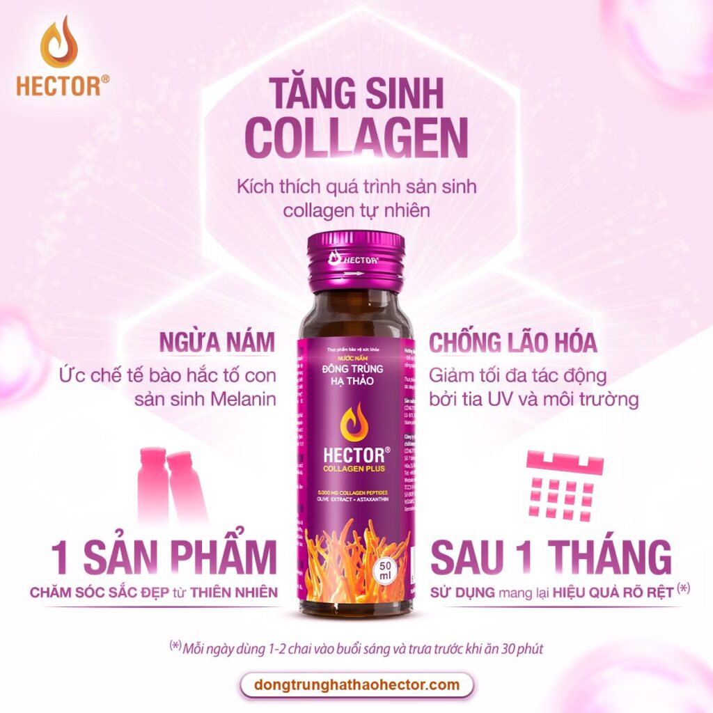 [Mua 1 Tặng 1] Hộp Hector Collagen Plus (10 chai) tặng 1 mật ong ...